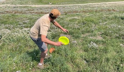 Overstable vs Understable Discs - Discount Disc Golf