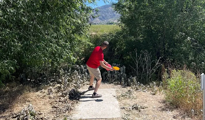 Overstable vs Understable Discs - Discount Disc Golf